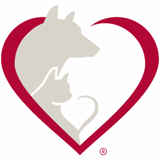 Transition FAQS - IVHS & SPCA